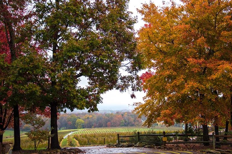 Yadkin Valley Overview Trail – Van in Black